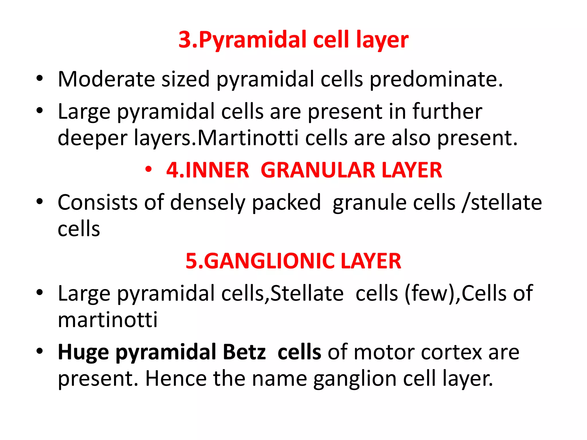 Histology of cns.dk.2014