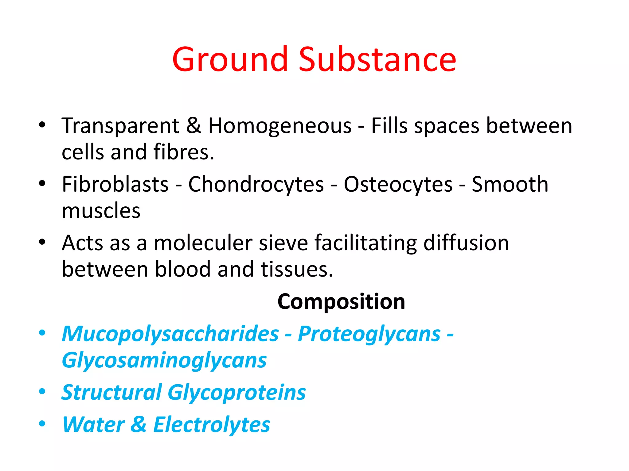 Histology of Connective Tissue.pptx