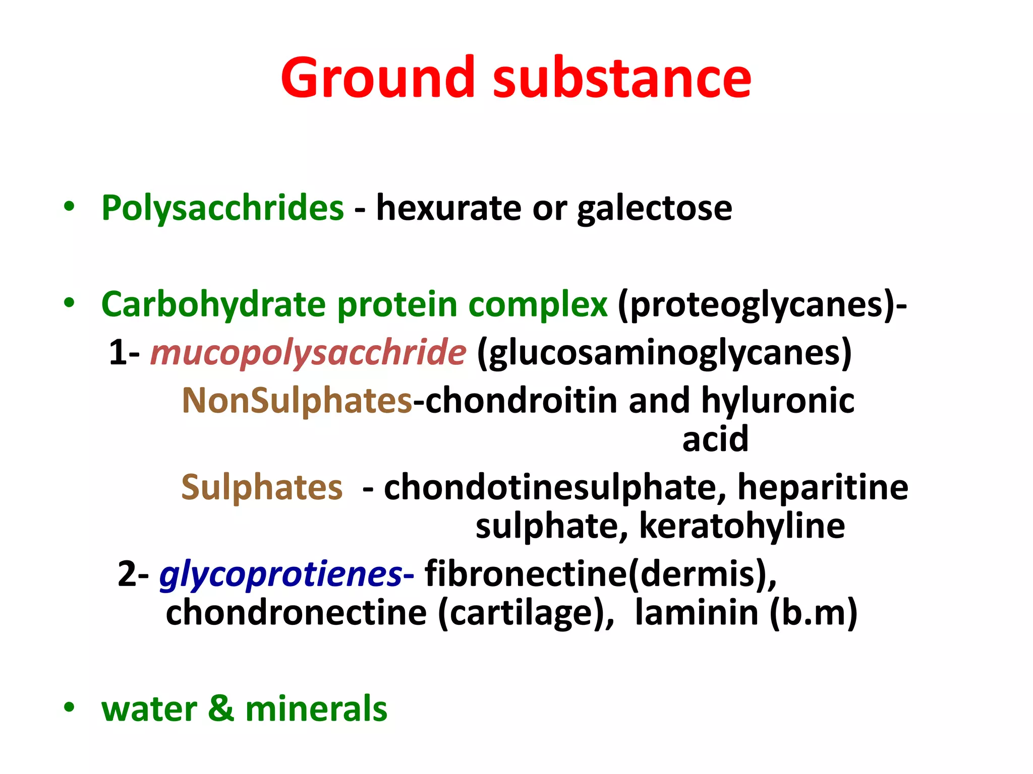 Histology of Connective Tissue.pptx