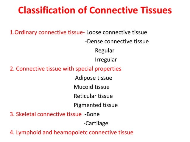 Histology of Connective Tissue.pptx