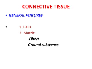 Histology of Connective Tissue.pptx