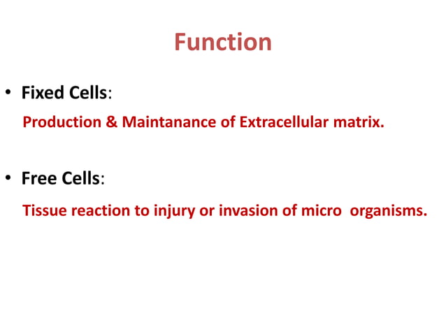 Histology of Connective Tissue.pptx