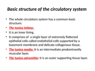 Integrated histology cardiovascular system.pptx