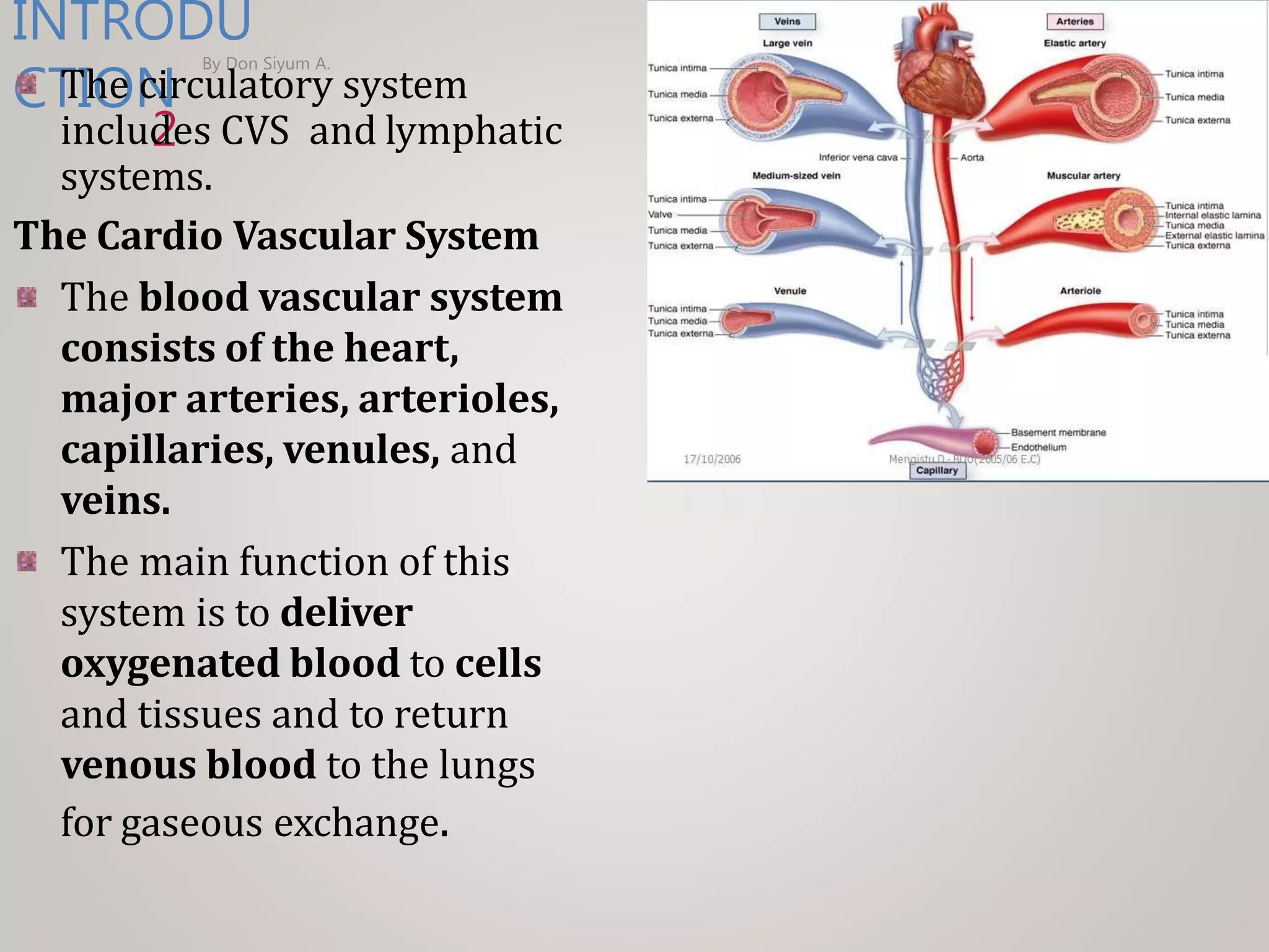 Histology of CVS system | PPTX