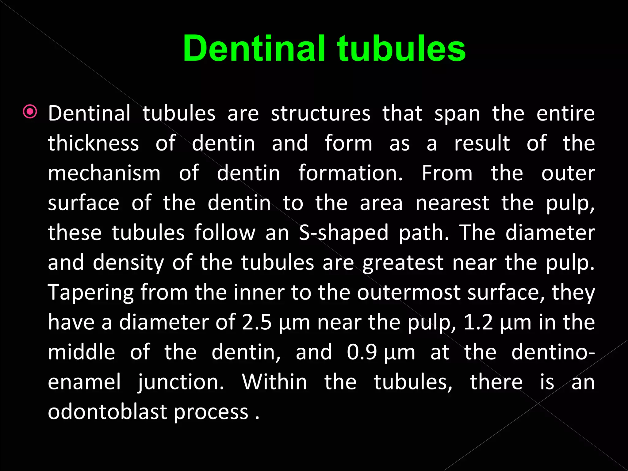 Histology of dentin | PPT