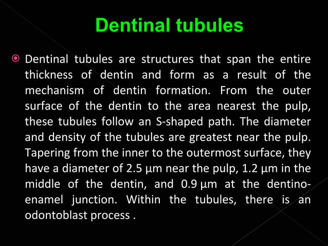 Histology of dentin | PPT | Dental Health | Diseases and Conditions