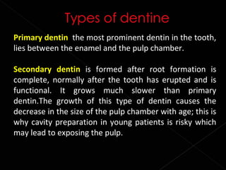 Histology of dentin | PPT