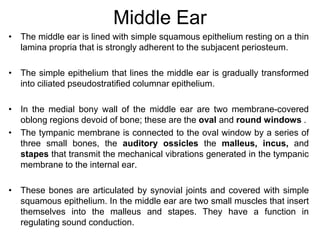 Histology of ear | PDF
