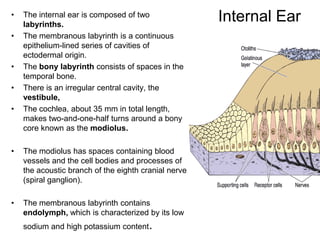 Histology of ear | PDF