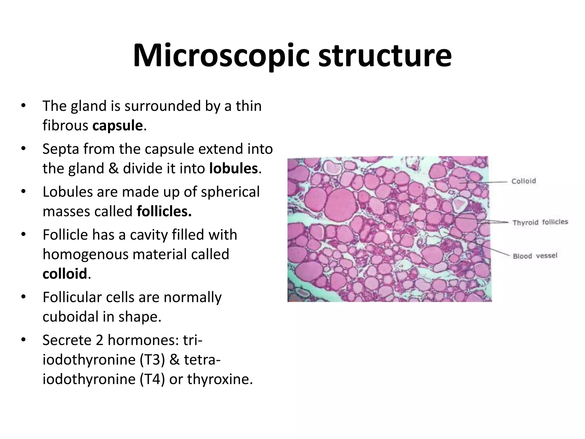 Histology_of_Endocrine_glands.pptx