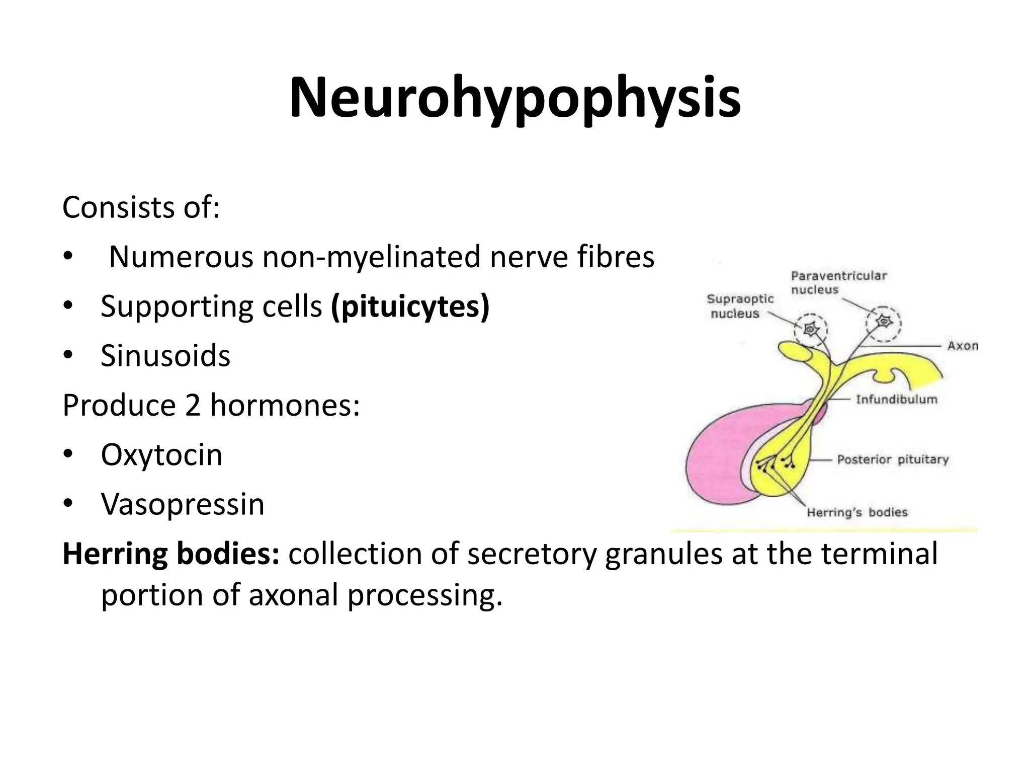 Histology_of_Endocrine_glands system.pptx