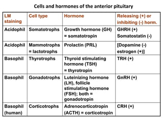 Histology_of_Endocrine_glands system.pptx