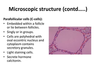 Histology_of_Endocrine_glands system.pptx