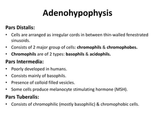 Histology_of_Endocrine_glands system.pptx