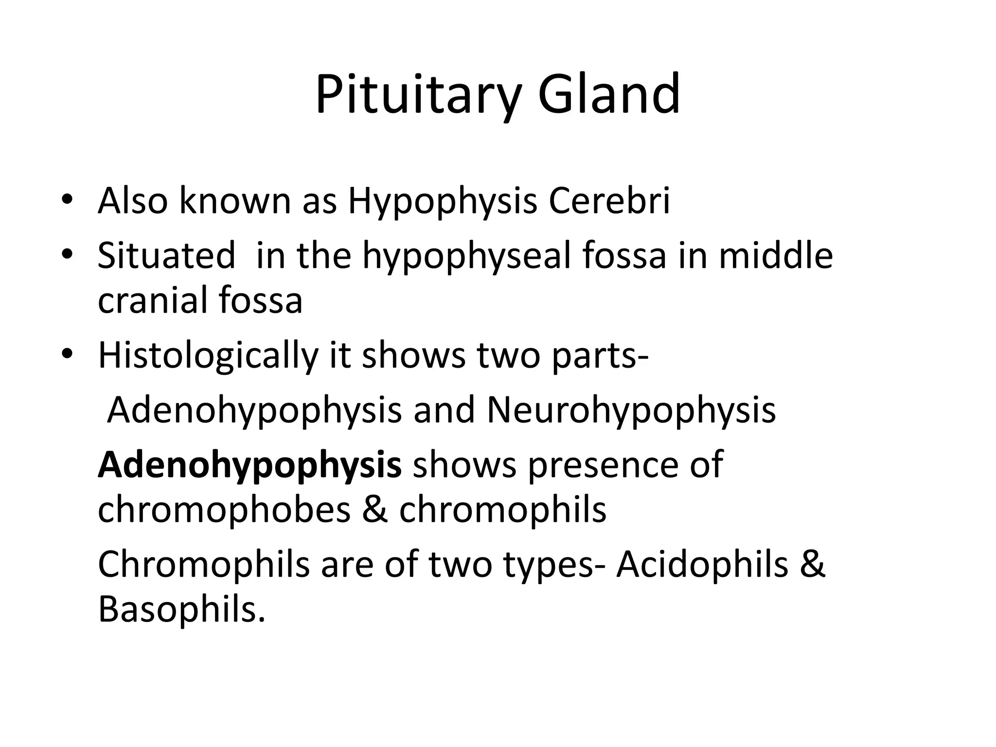 Histology of endocrine system | PPTX