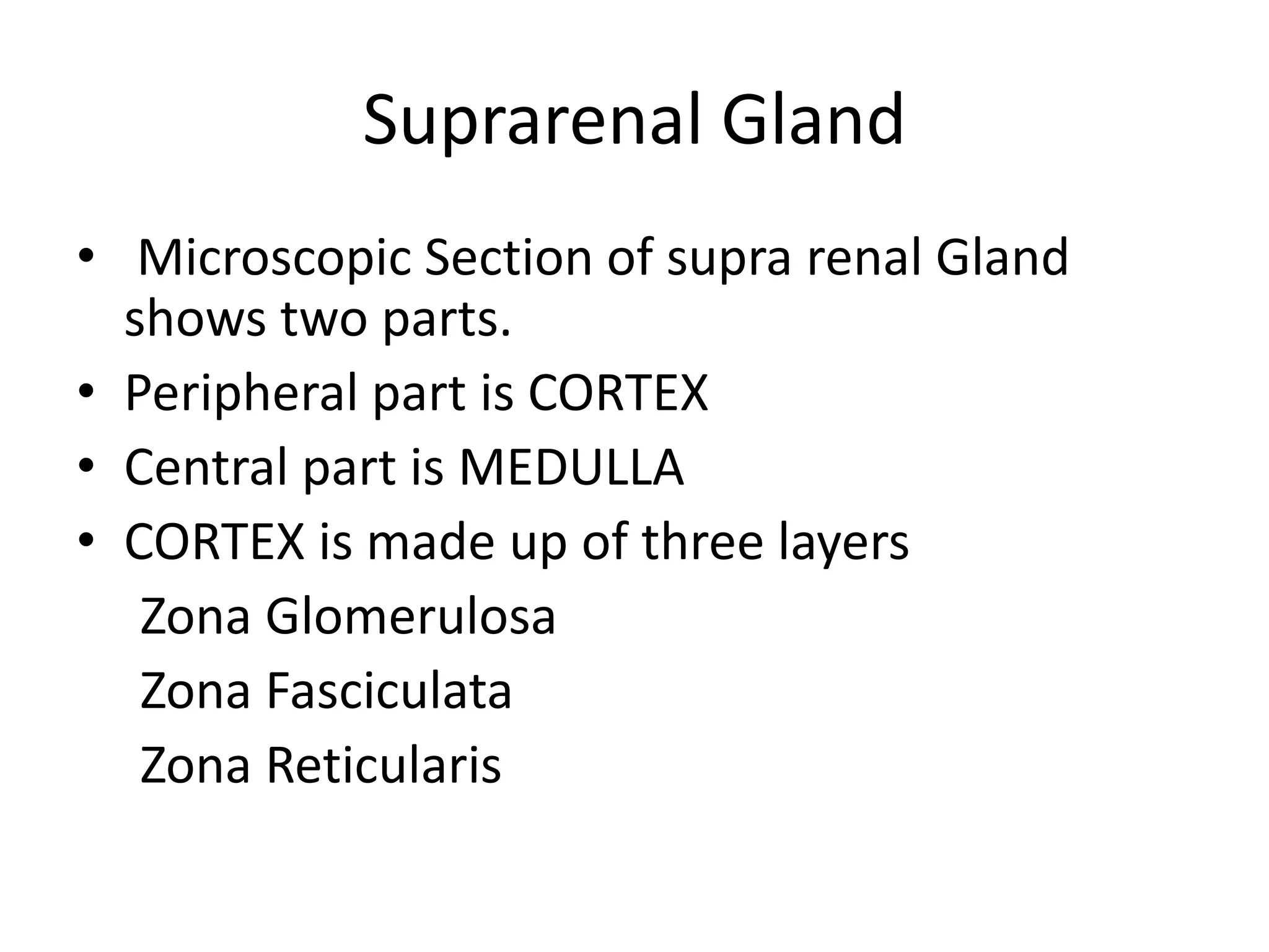 Histology of endocrine system | PPTX
