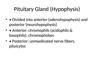 Histology_of_Endocrine_System.pptx for mbbs students | PPT