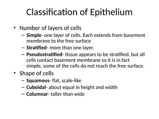 NOTES ON HISTOLOGY OF EPITHELIAL TISSUE.pptx