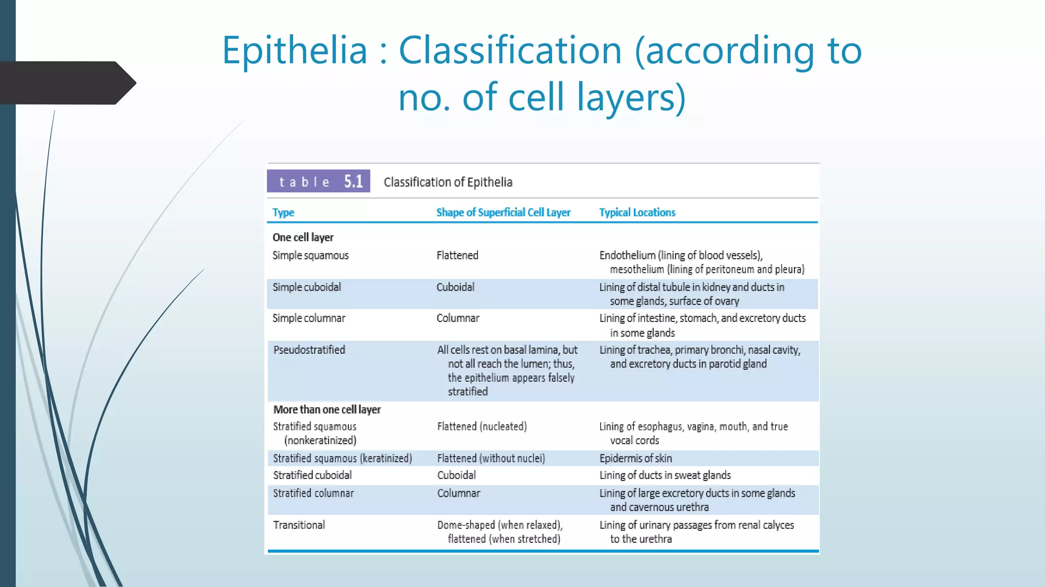 Histology of epithelium.pptx