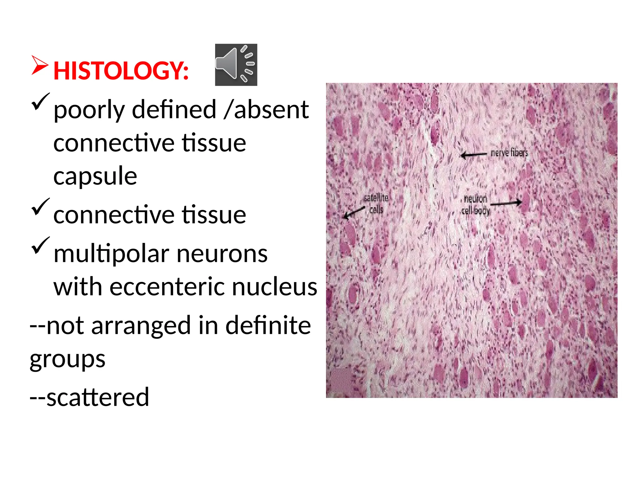 HISTOLOGY OF sensory and autonomic GANGLIA.pptx