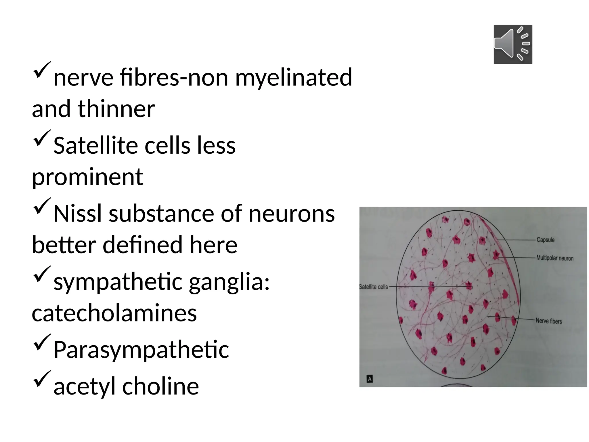 HISTOLOGY OF sensory and autonomic GANGLIA.pptx