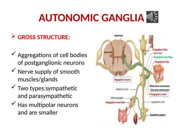 HISTOLOGY OF sensory and autonomic GANGLIA.pptx