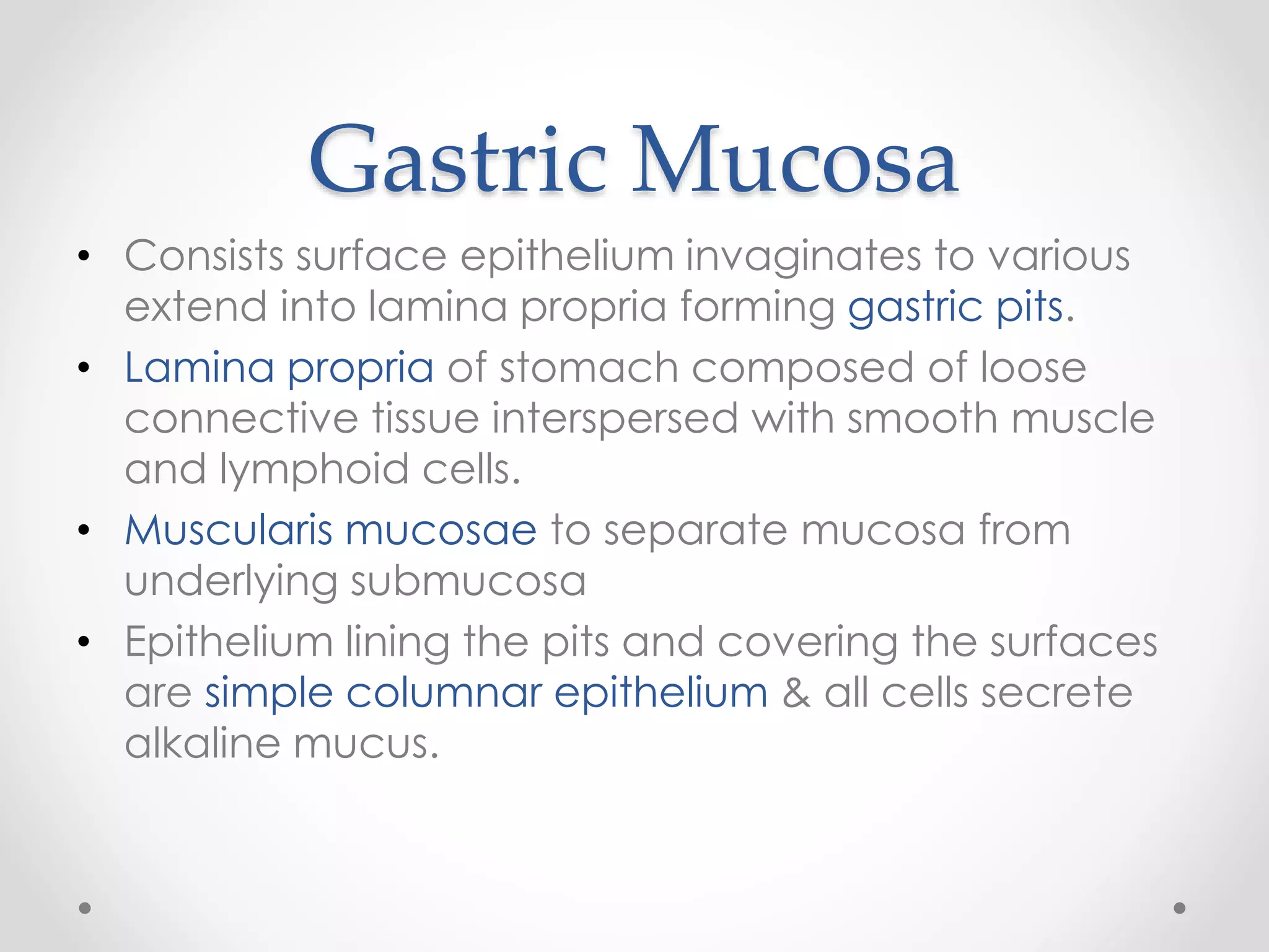 Histology of gastrointestinal tract | PPTX