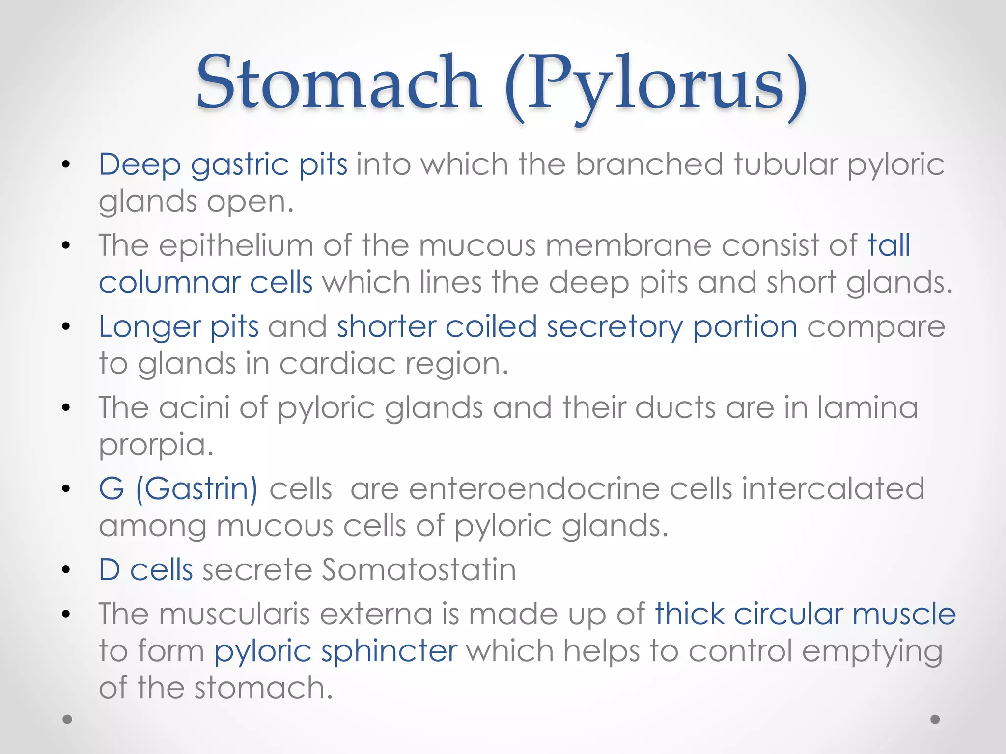 Histology of gastrointestinal tract | PPTX