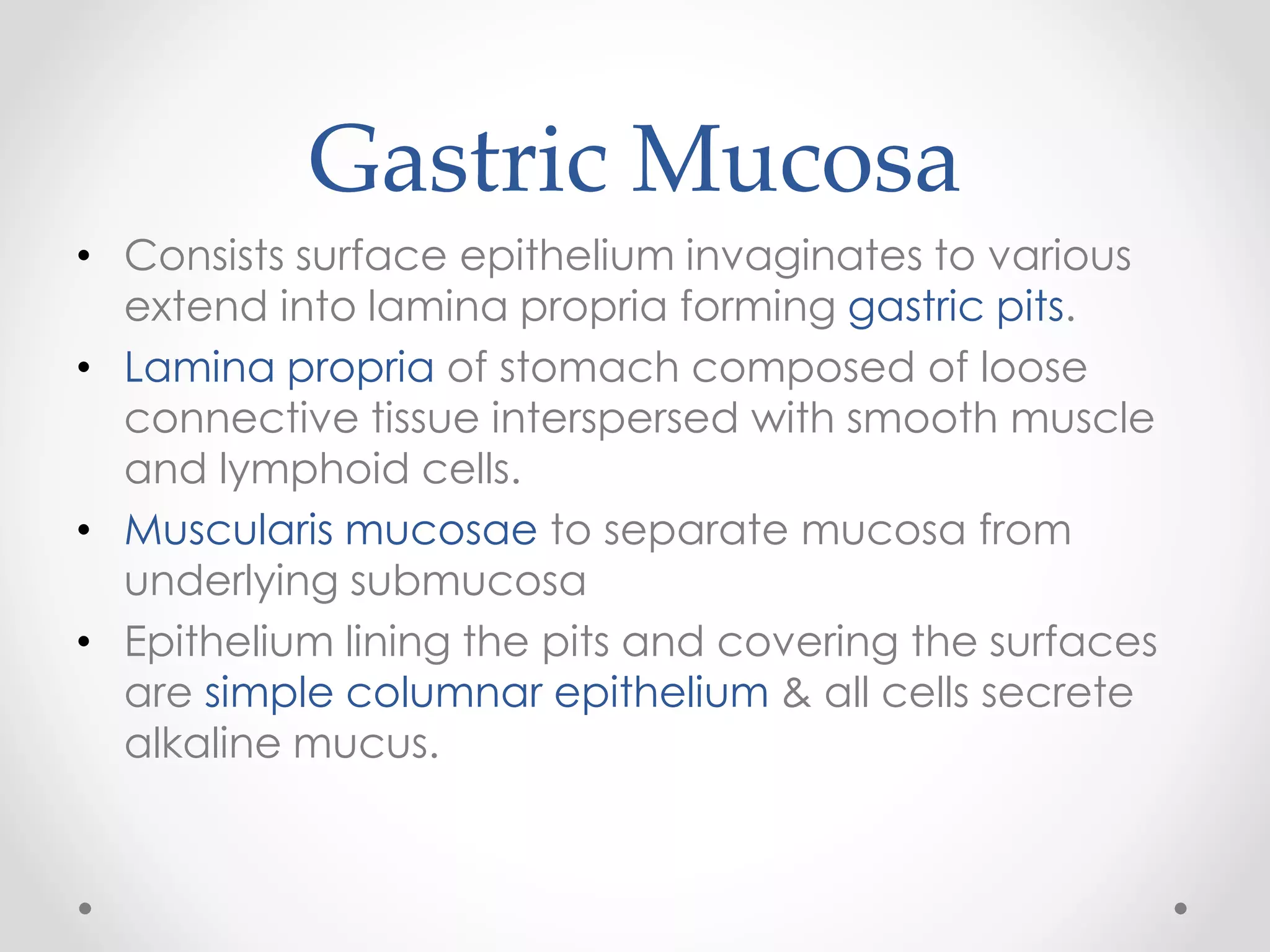 Histology of gastrointestinal tract | PDF