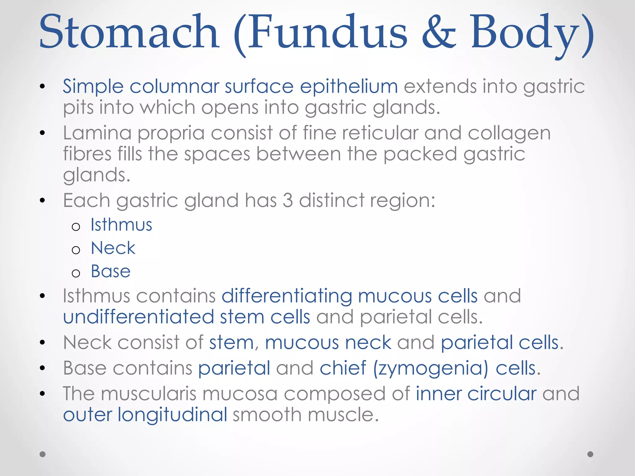 Histology of gastrointestinal tract | PDF