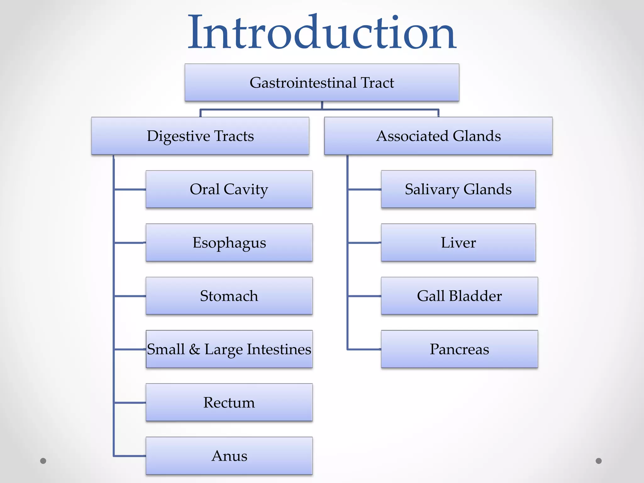 Histology of gastrointestinal tract | PDF