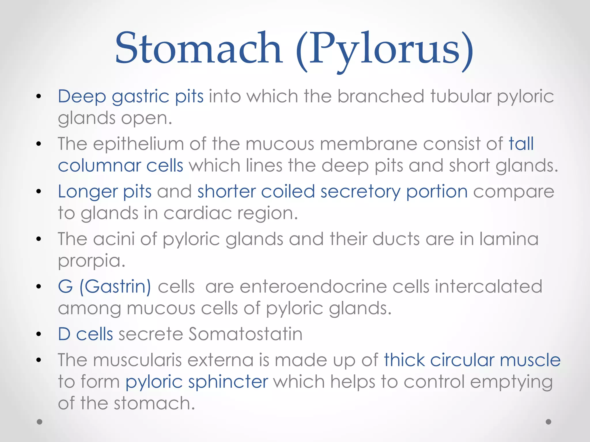 Histology of gastrointestinal tract | PDF