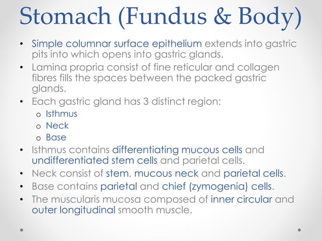 Histology of gastrointestinal tract | PDF