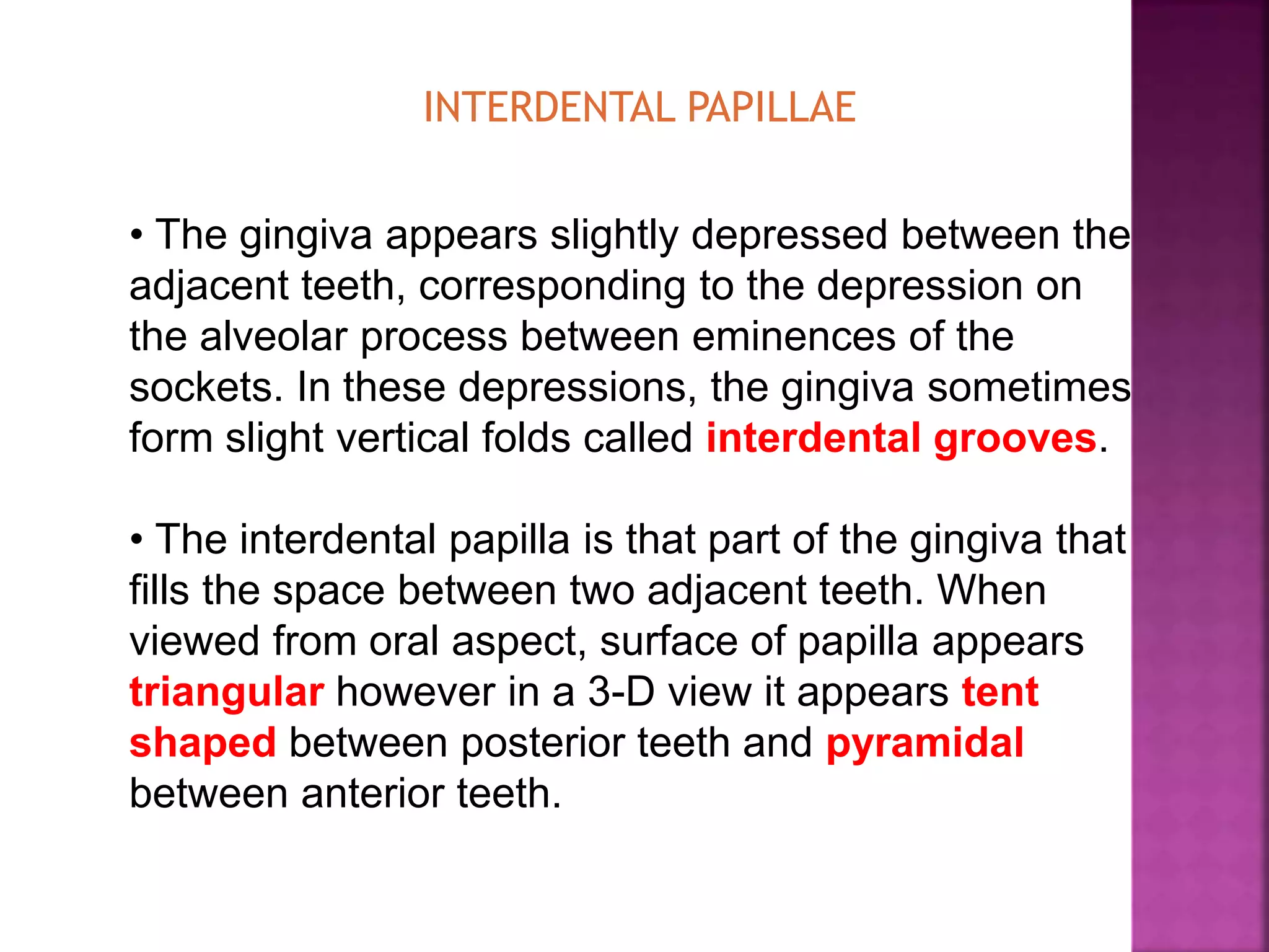 Histology of Gingiva | PPTX