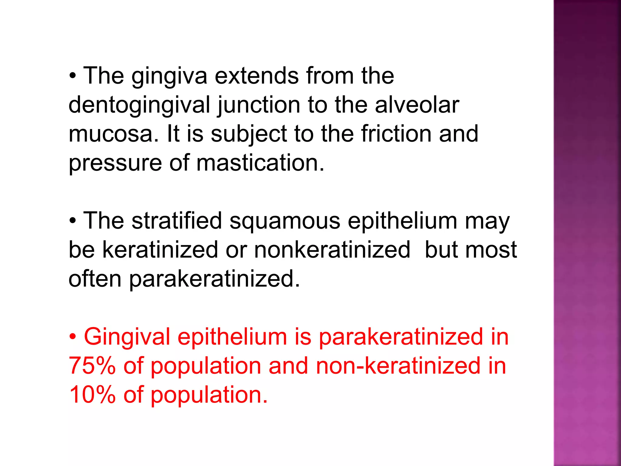 Histology of Gingiva | PPTX