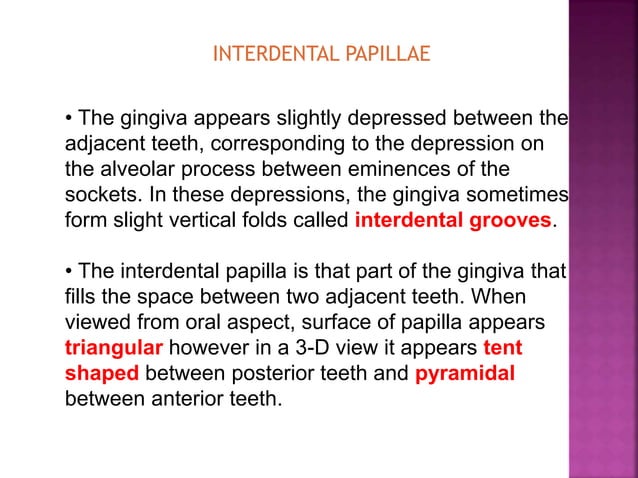 Histology of Gingiva | PPTX | Dental Health | Diseases and Conditions