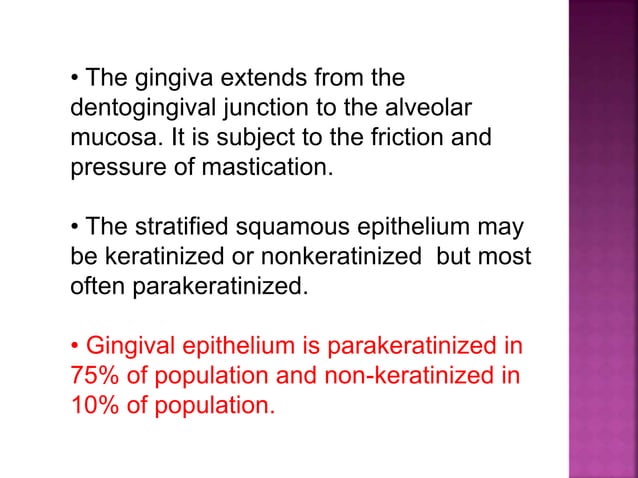 Histology of Gingiva | PPTX | Dental Health | Diseases and Conditions