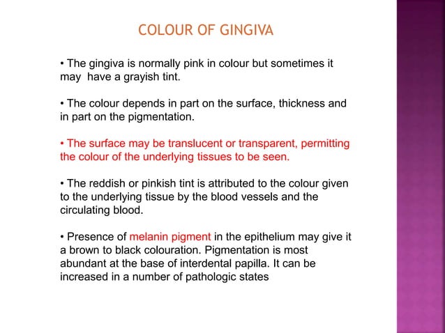 Histology of Gingiva | PPTX | Dental Health | Diseases and Conditions