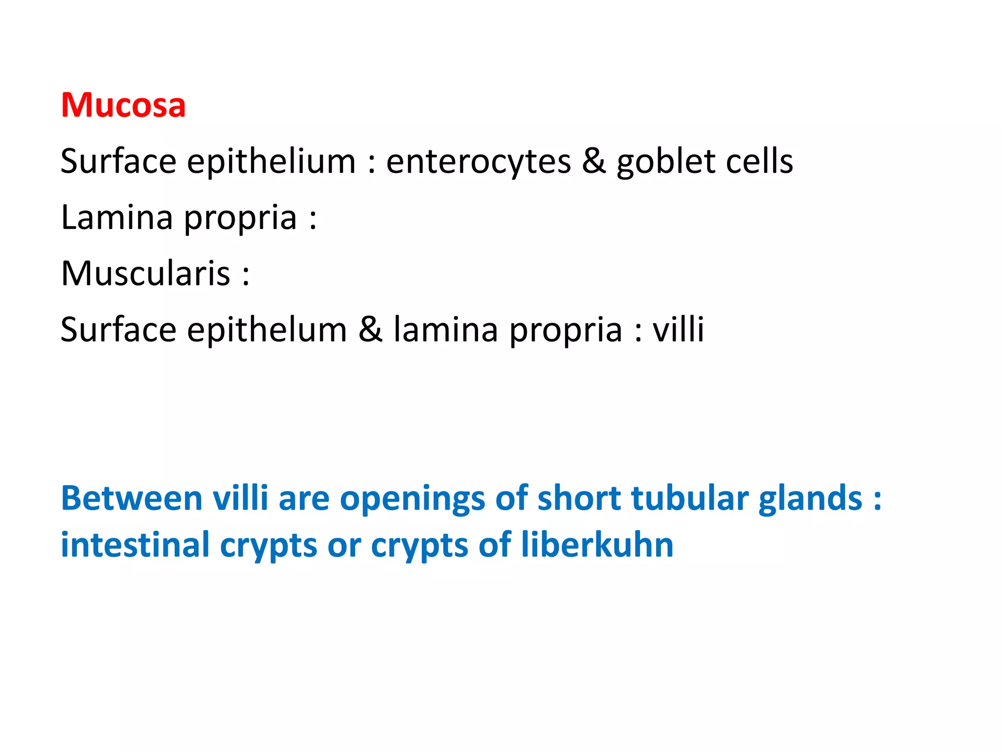 Histology of git | PPTX