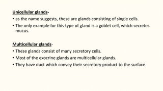 Histology of glands | PPTX