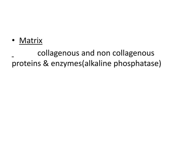 Histology of growth plate (2)n | PPT