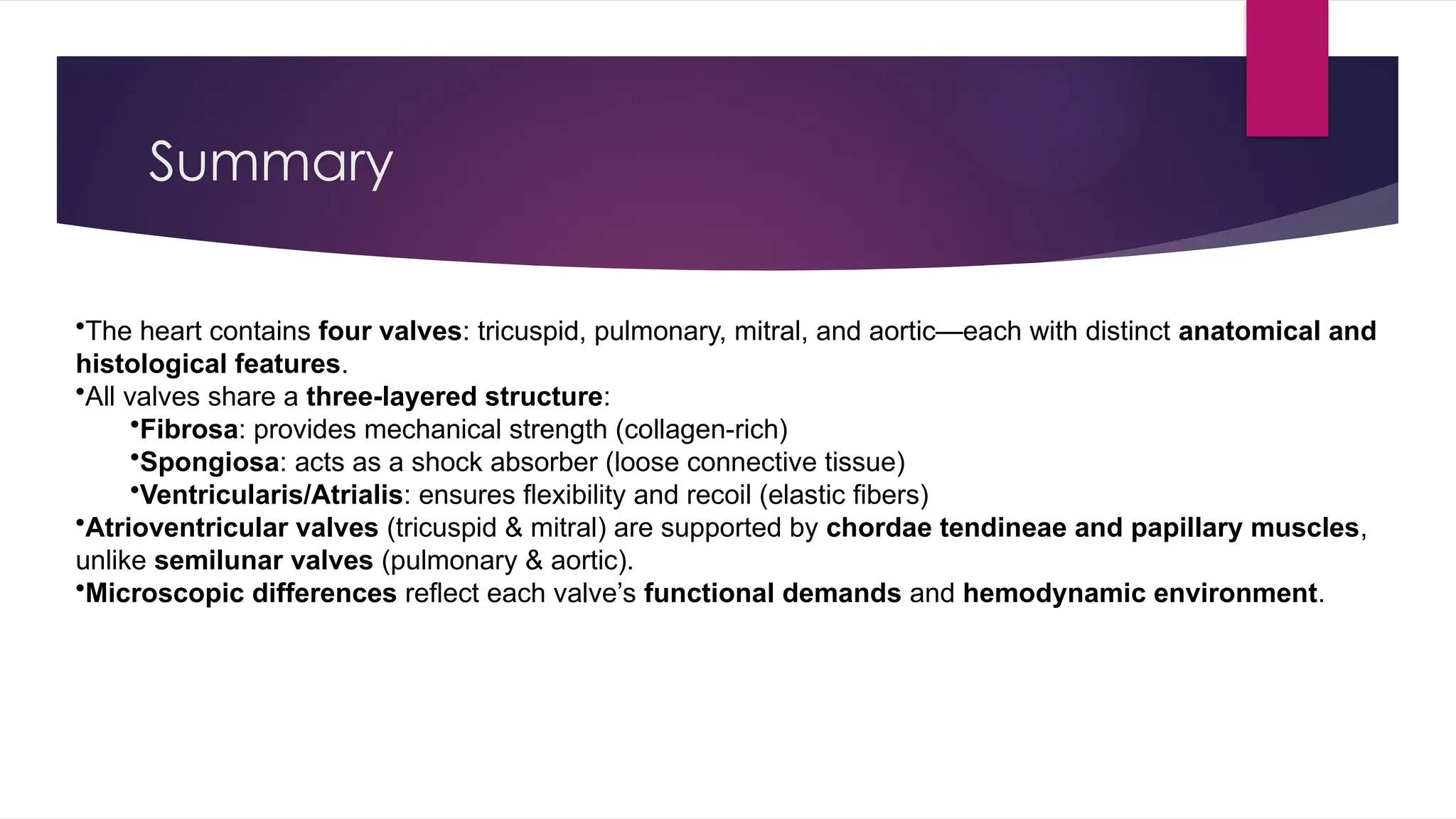 Histology of Heart Valves aorta and mitral valve | PPTX