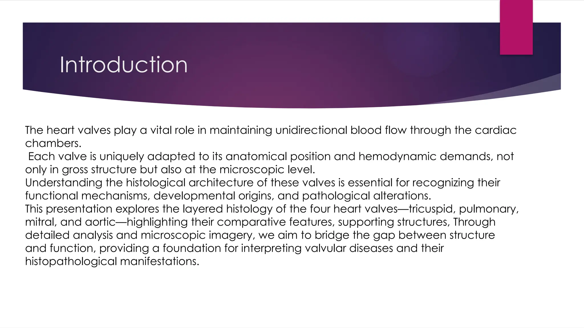 Histology of Heart Valves aorta and mitral valve | PPTX