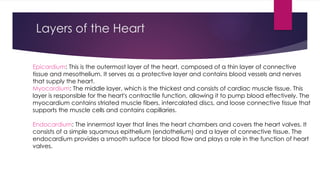Histology of Heart Valves aorta and mitral valve | PPTX