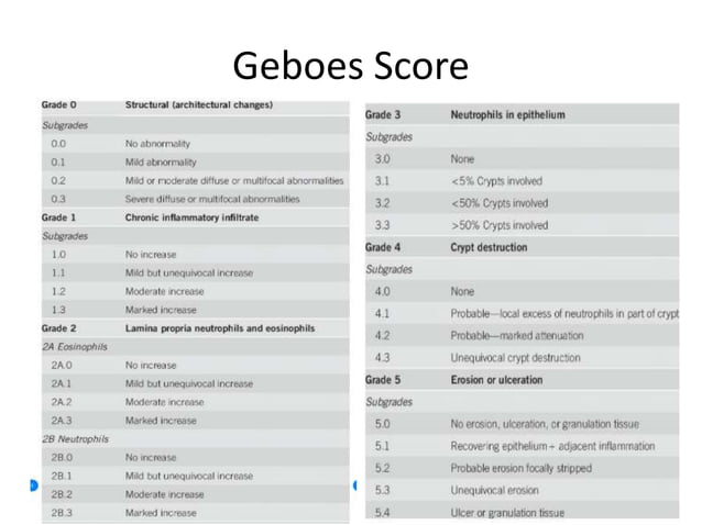 Histology of ibd | PPTX | Digestive Disorders | Diseases and Conditions