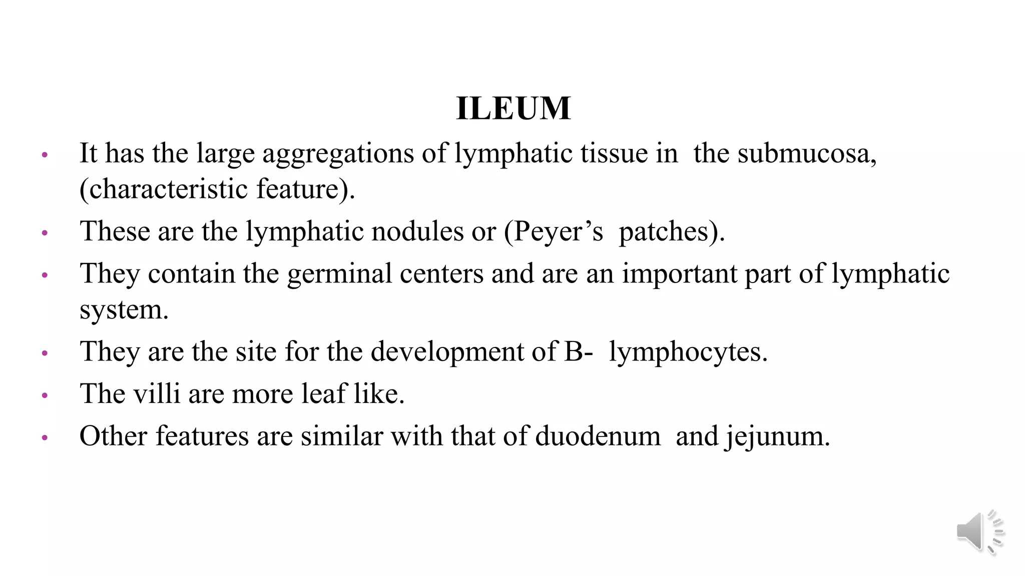 Histology of ileum, large intestine and liver | PPTX