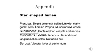 Histology of ileum, large intestine and liver | PPTX