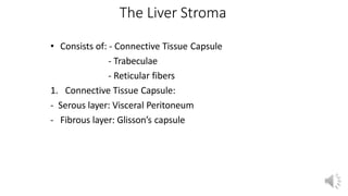 Histology of ileum, large intestine and liver | PPTX