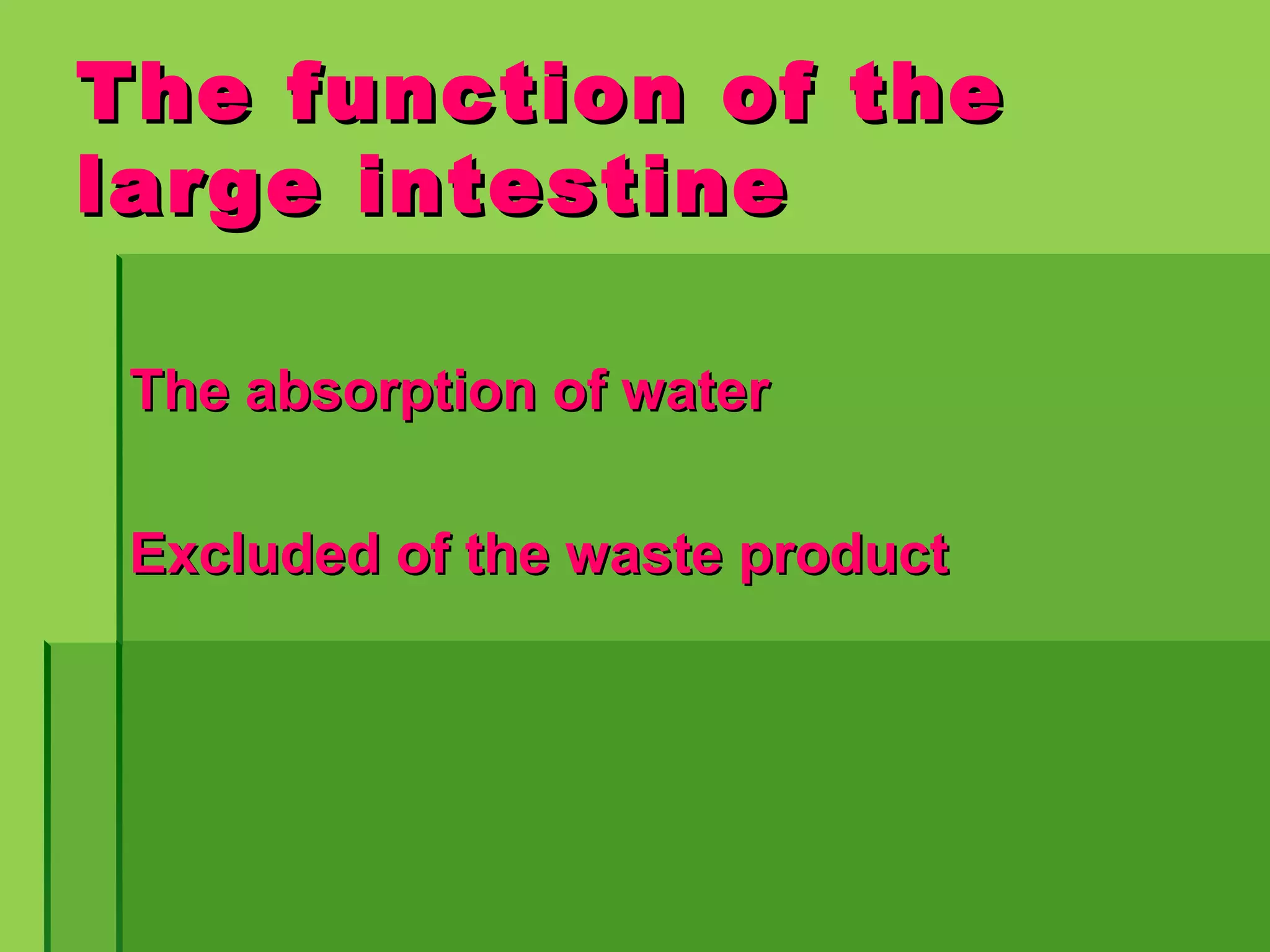 Histology of large intestine | PPT