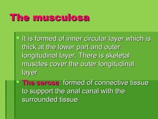 Large Intestine Histology Colon Labels Histology Slide